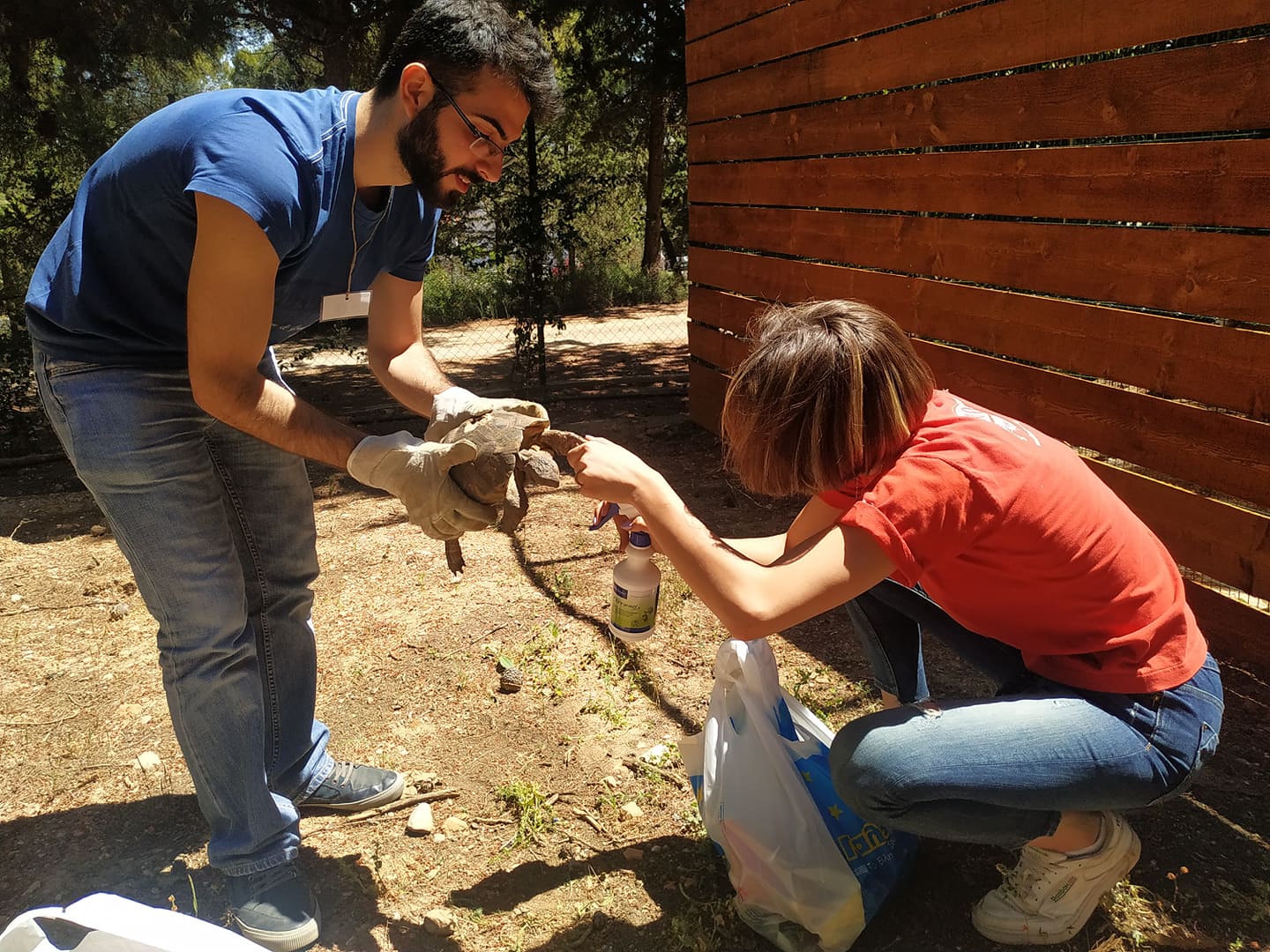 Εθελοντική εργασία και Πρακτική Άσκηση - ΑΝΙΜΑ - Σύλλογος Προστασίας ...