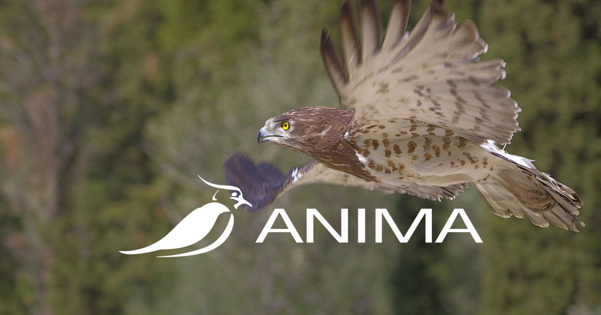 Επικοινωνία - ΑΝΙΜΑ - Σύλλογος Προστασίας και Περίθαλψης Άγριας Ζωής